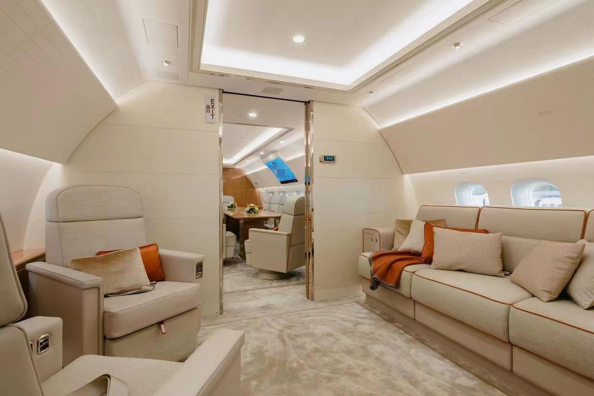 VIP ACJ319neo Listed For Sale - Opus aero